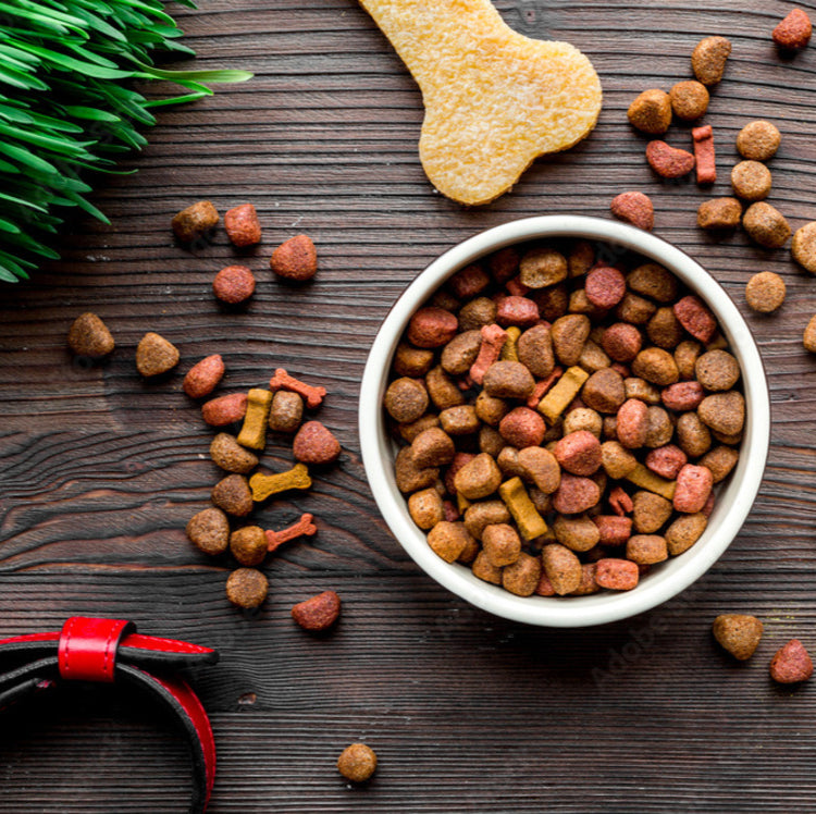 Viand Pet Food - Smart, Sensible Solutions – ViandPet
